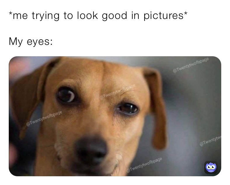 *me trying to look good in pictures* My eyes: | @looneylooser_ | Memes