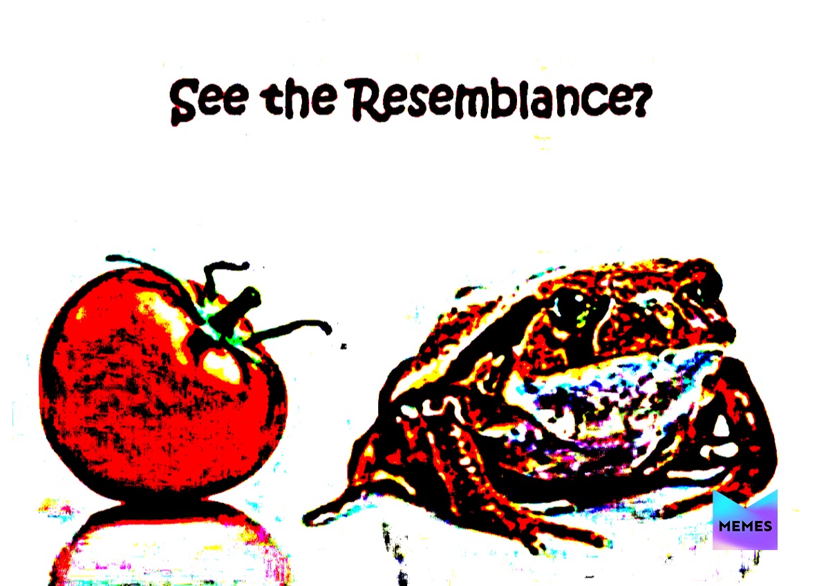 Post by @slow_dancing_in_the_dank | Memes