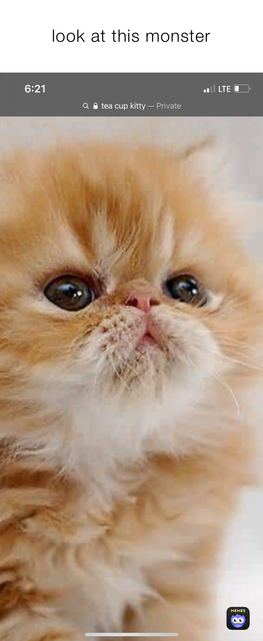 look at this monster | @Dr_Lemon | Memes