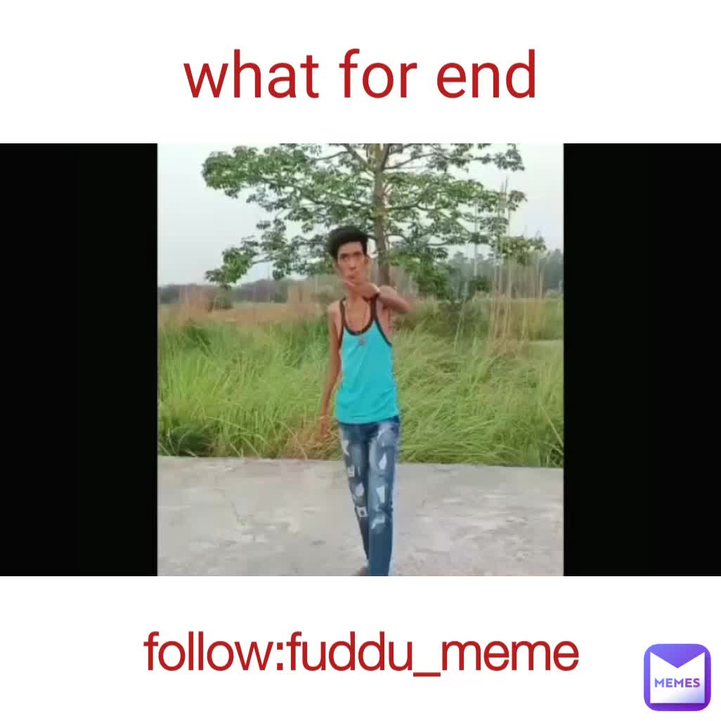 what for end follow:fuddu_meme | @memes122 | Memes