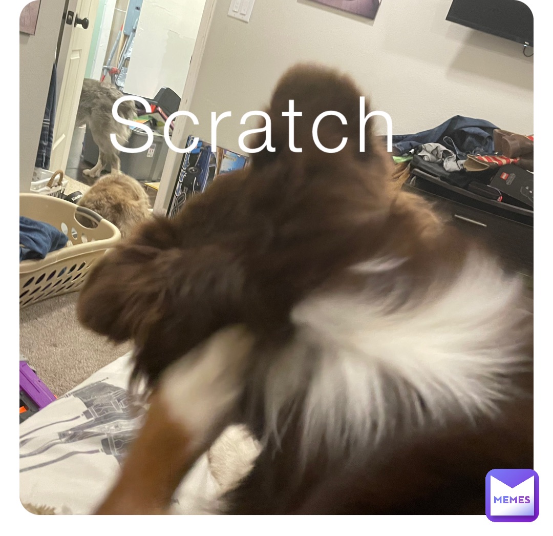 Scratch | @STEALT_BLADE | Memes