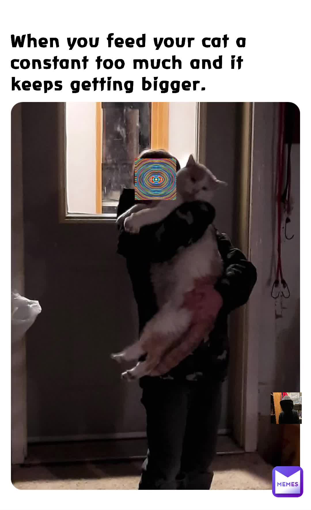 When you feed your cat a constant too much and it keeps getting bigger ...