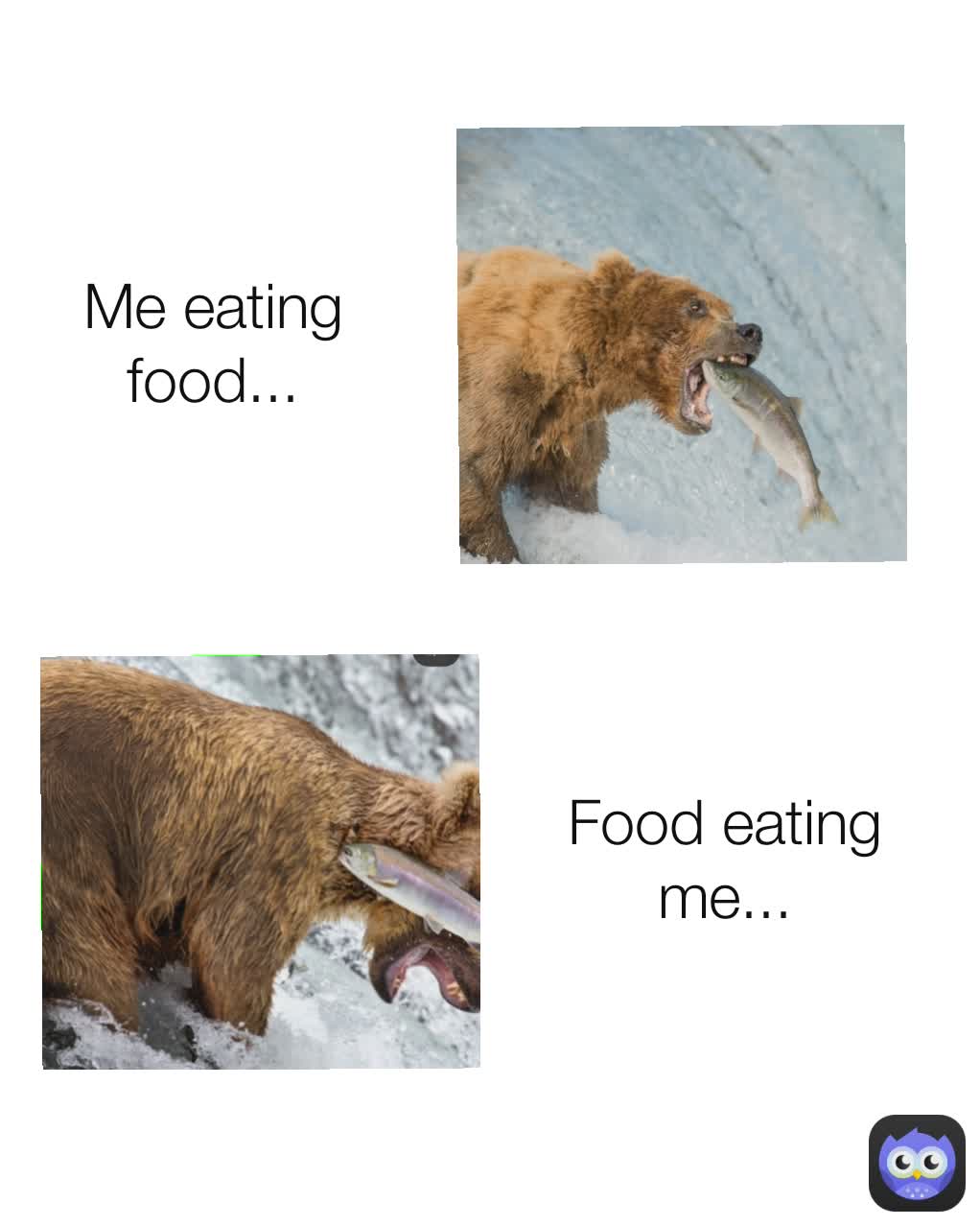 Food eating me... Me eating food... | @wildlifecomedy | Memes