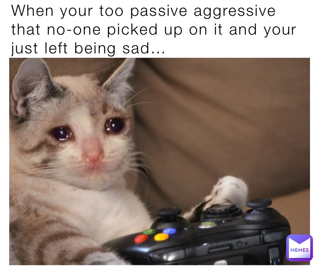 Passive Aggressive Meme
