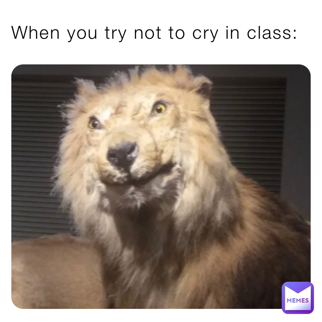 When You Try Not To Cry In Class EK1ng123 Memes When You Try Not To Cry In Class EK1ng123 Memes