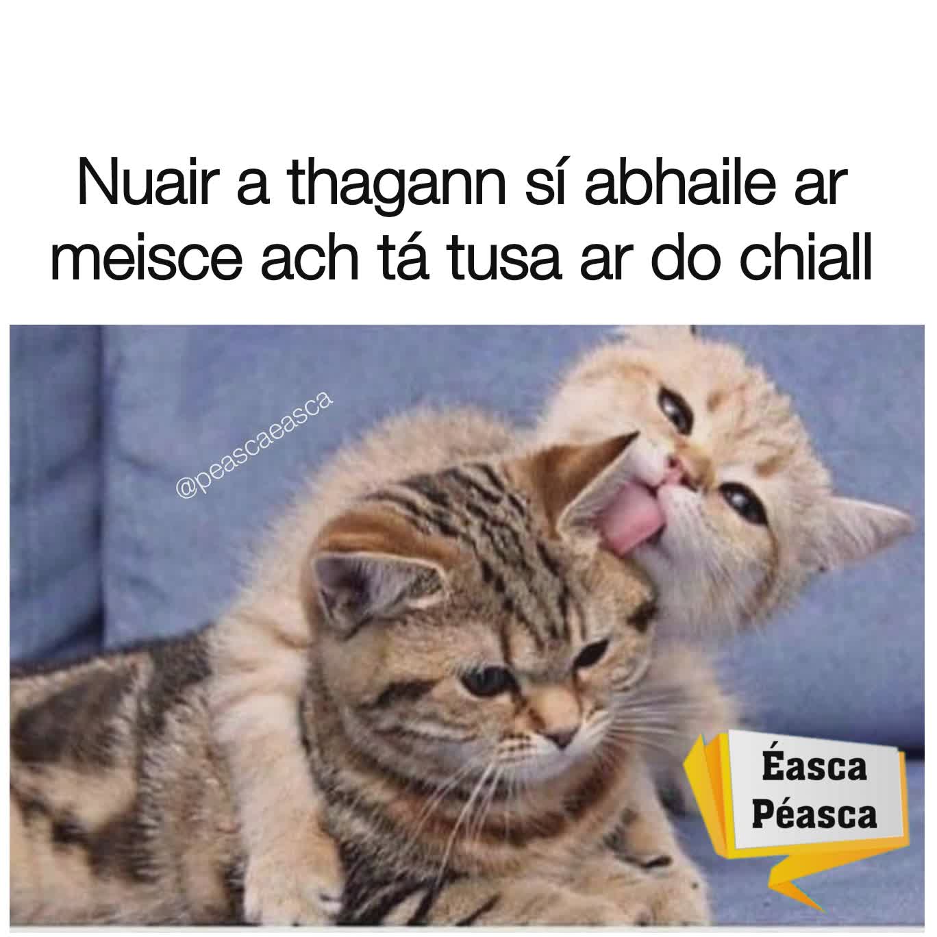 Nuair a thagann sí abhaile ar meisce ach tá tusa ar do chiall ...