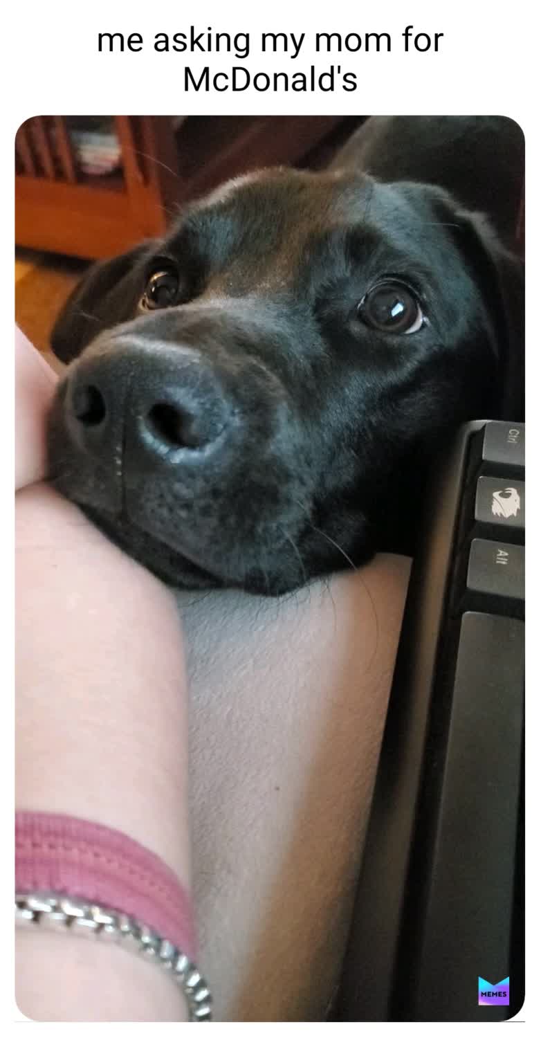 Post by @kkkmmm_34 | Memes