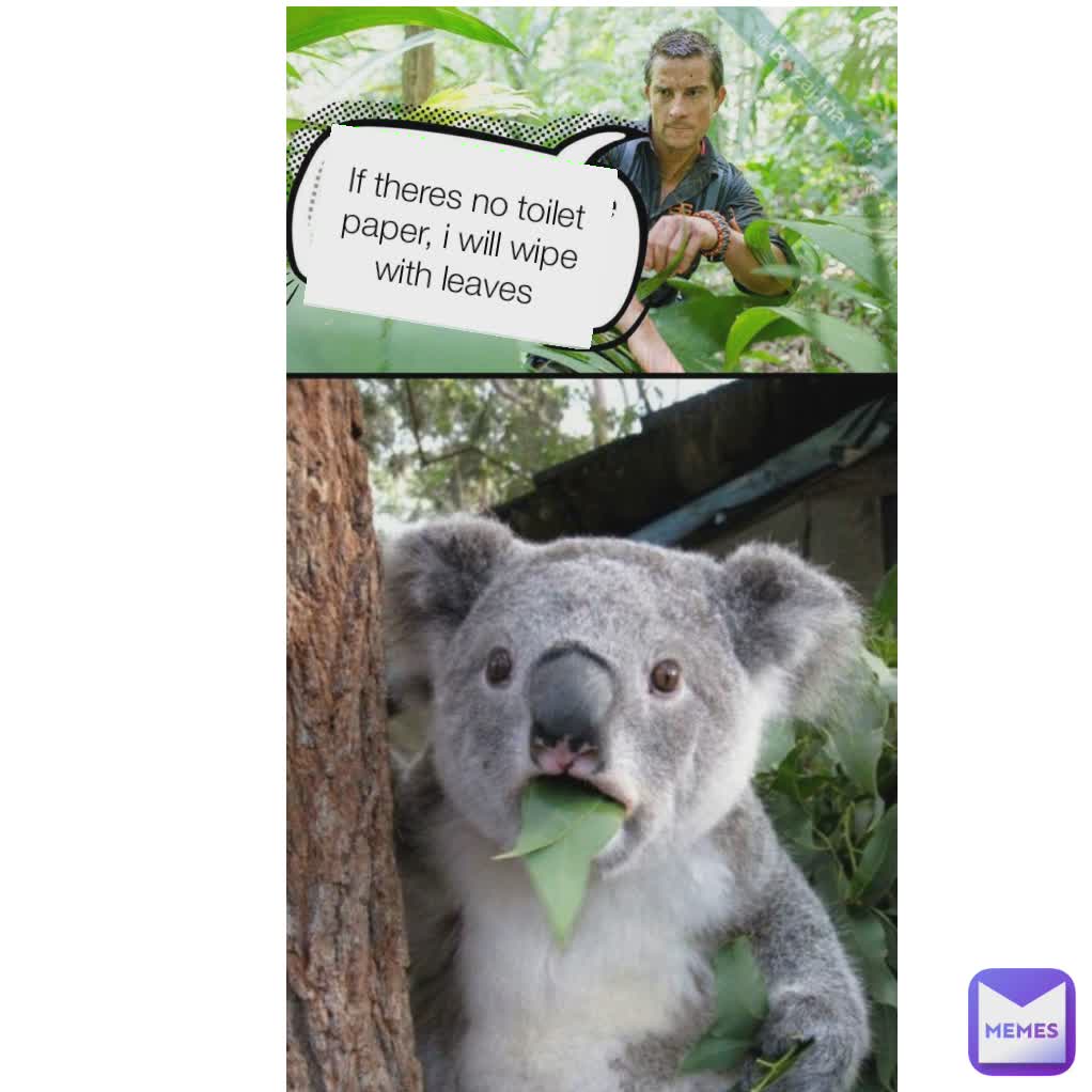 If theres no toilet paper, i will wipe with leaves | @aura_smith | Memes