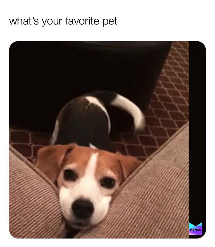 Post by @mike_da_boss | Memes