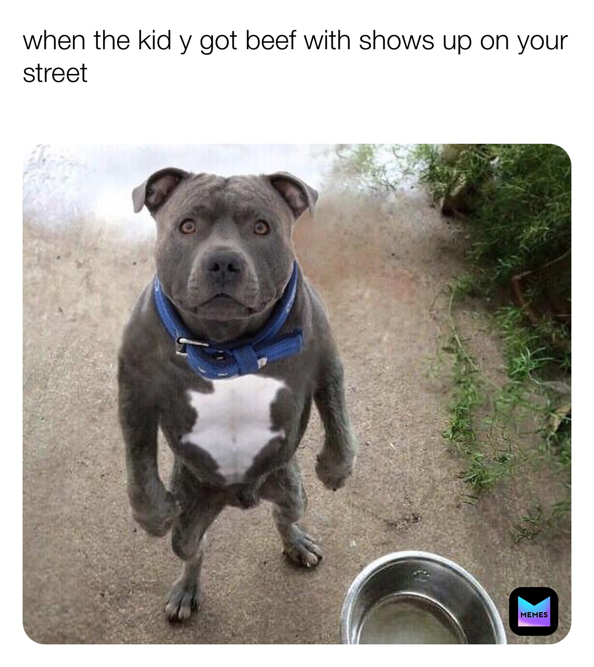 when the kid y got beef with shows up on your street | @that_boi_serani ...