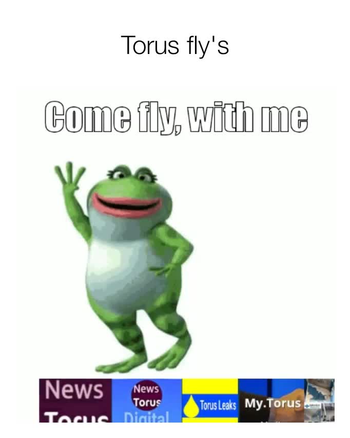 Torus fly's | @TorusTalk | Memes