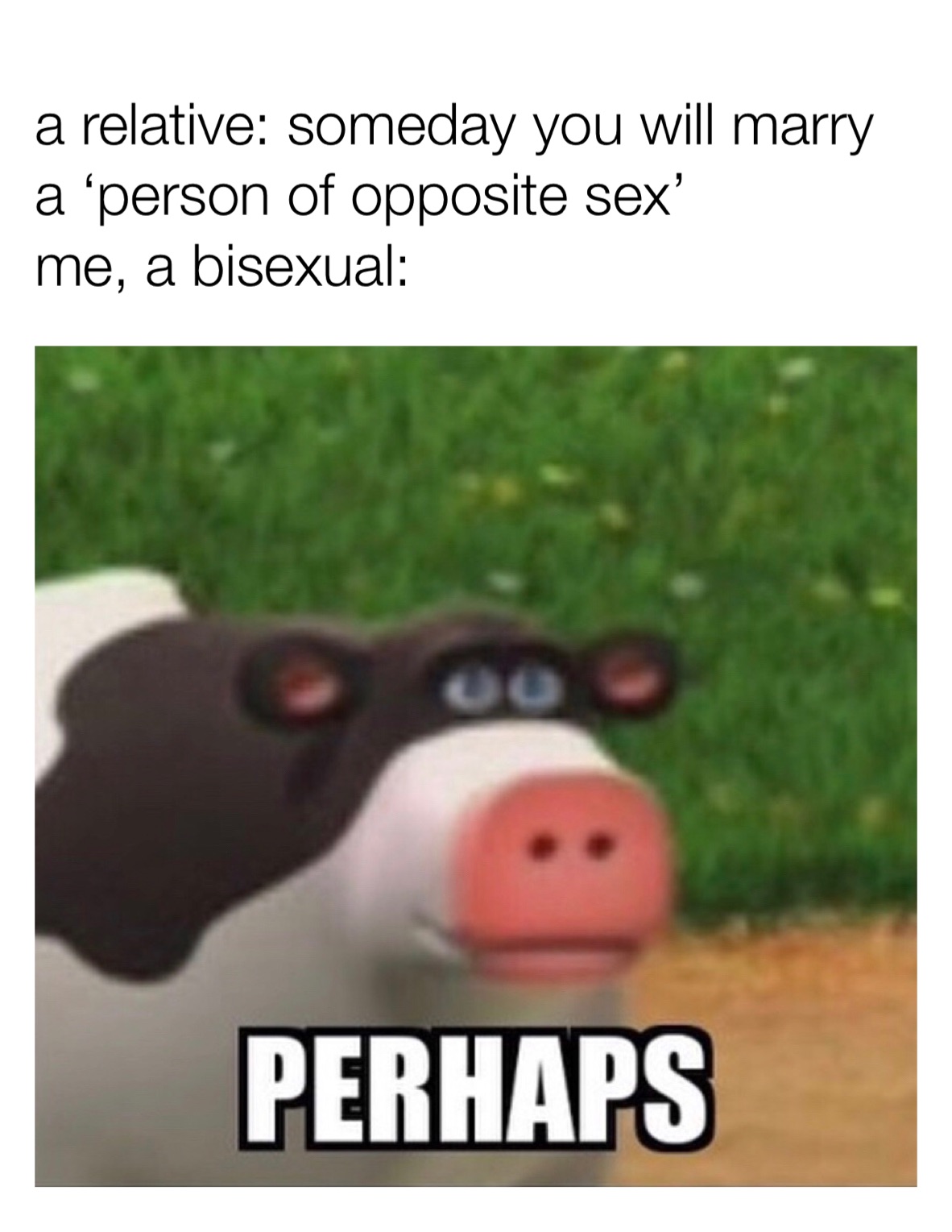 Post By Bisexual Memequeen Memes