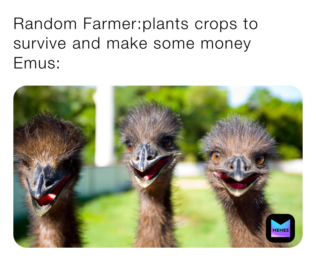 Random Farmer:plants crops to survive and make some money Emus ...