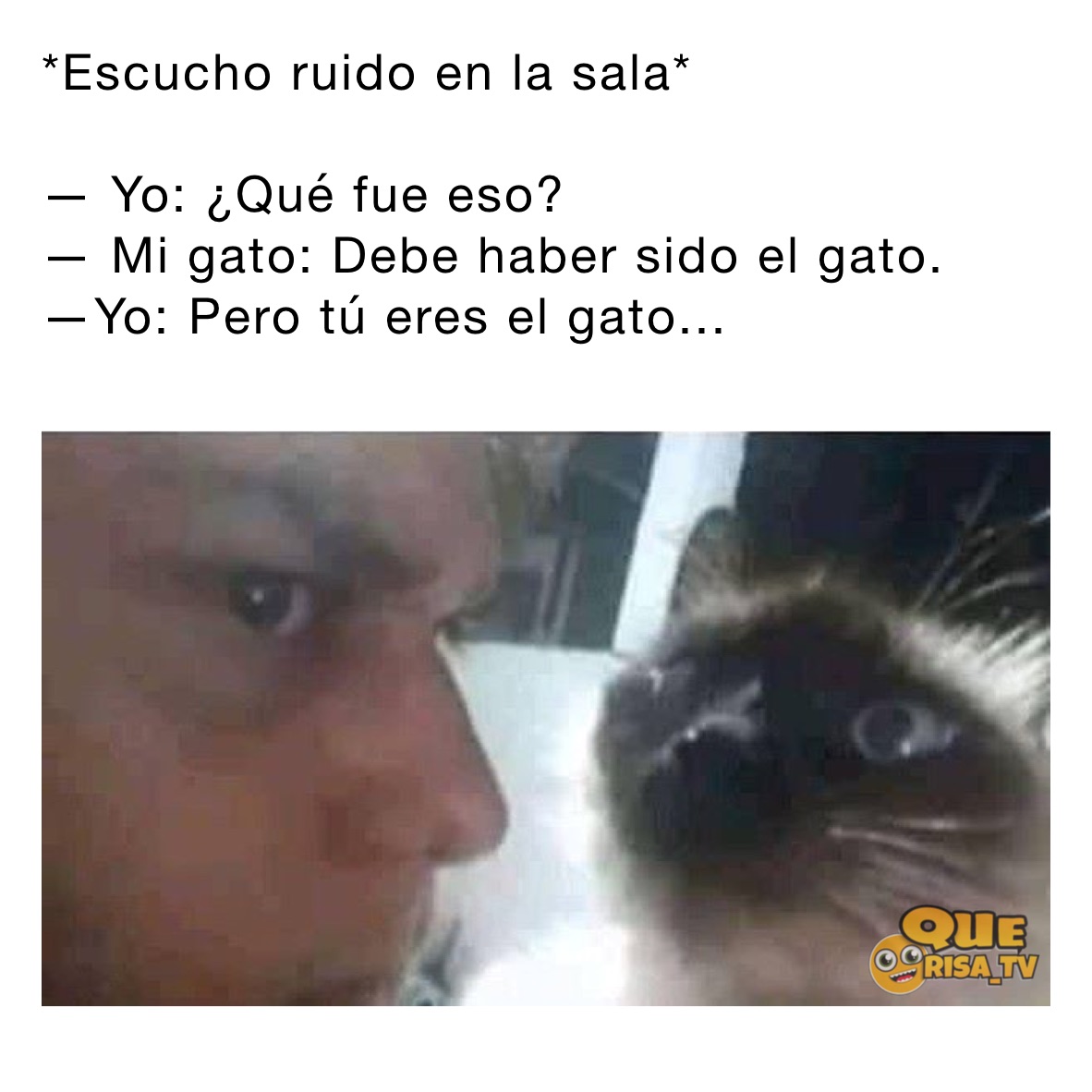 *Escucho ruido en la sala* — Yo: ¿Qué fue eso? — Mi gato: Debe haber ...