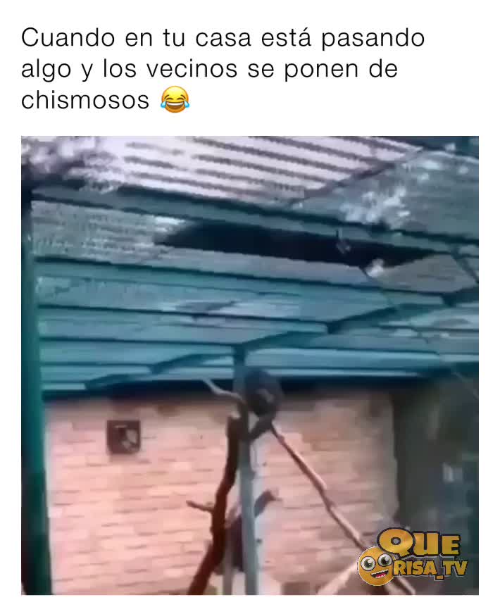 Cuando en tu casa está pasando algo y los vecinos se ponen de chismosos ...