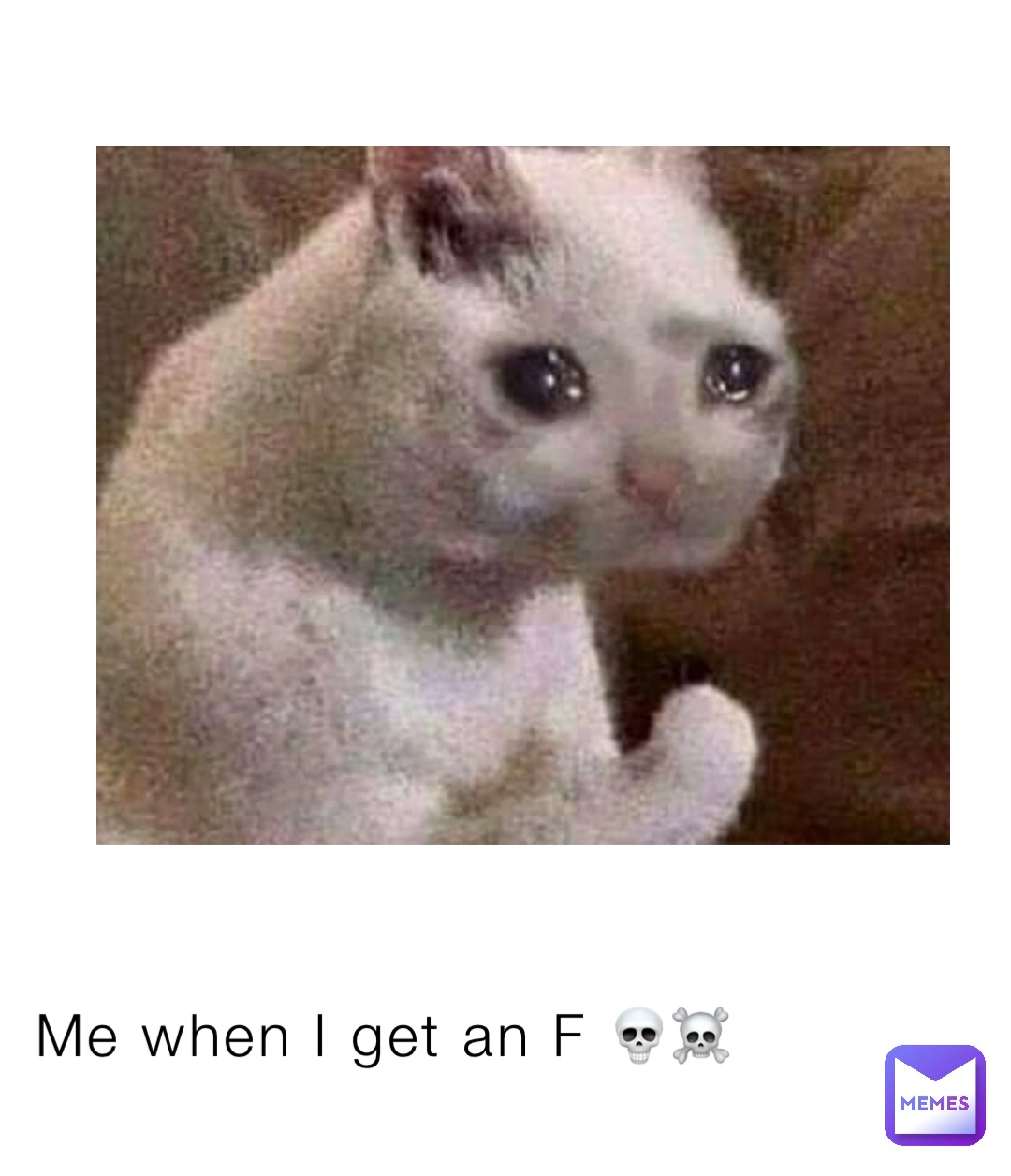 Me when I get an F 💀☠️ | @Archieloveschicken | Memes