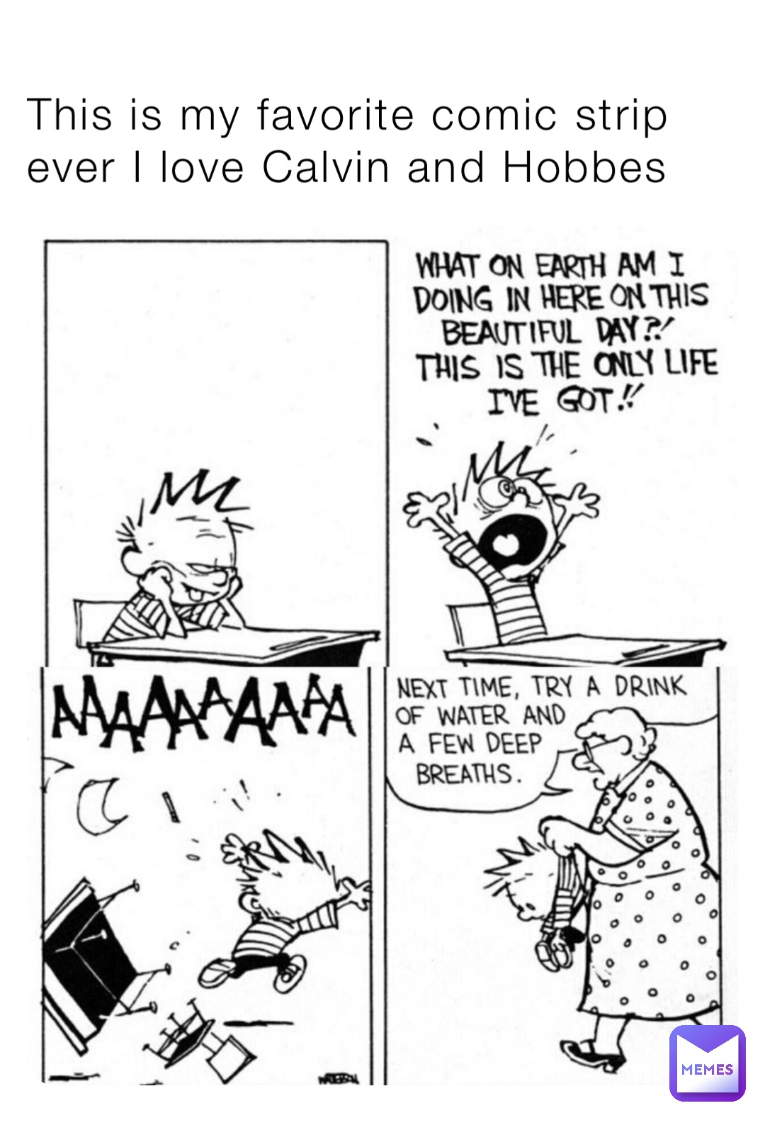 Calvin And Hobbes Comics About Love