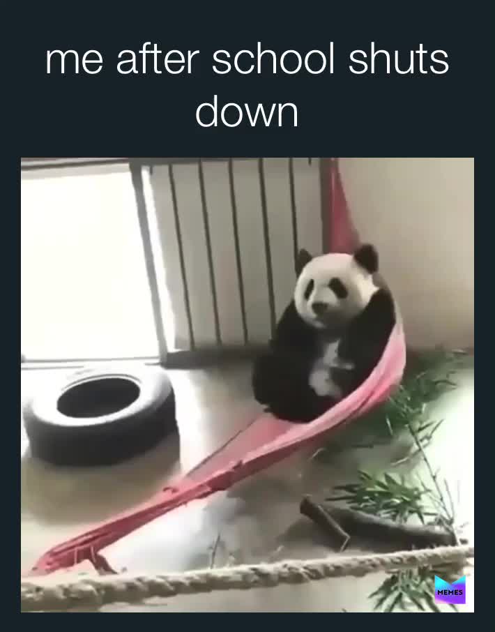 Post by @dylan_dean_bowyer | Memes