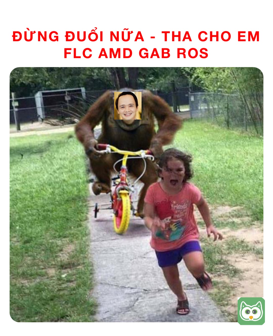 ĐỪNG ĐUỔI NỮA - THA CHO EM FLC AMD GAB ROS | @bach.vninvestor | Memes