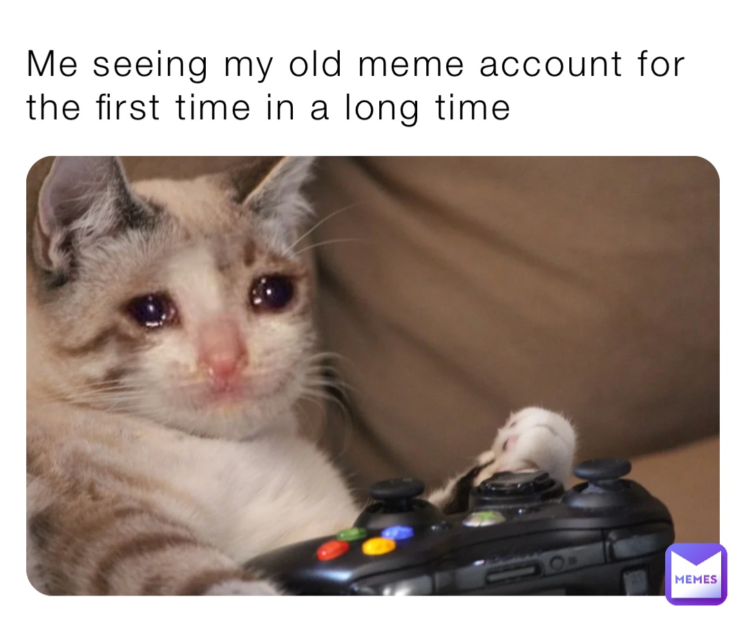 Me seeing my old meme account for the first time in a long time ...