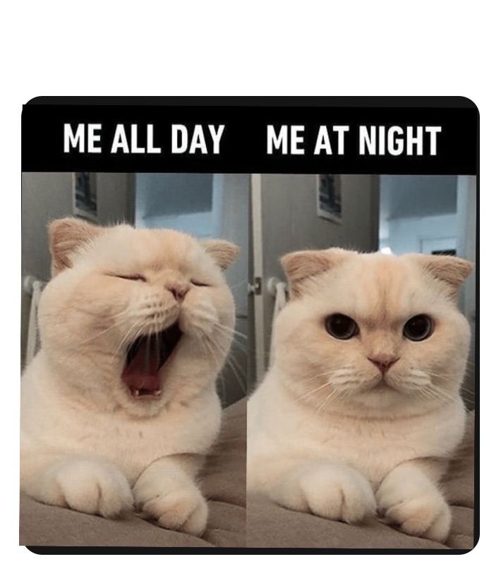 Post by @elif_khan | Memes