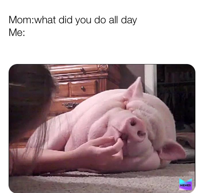 Post by @plo | Memes