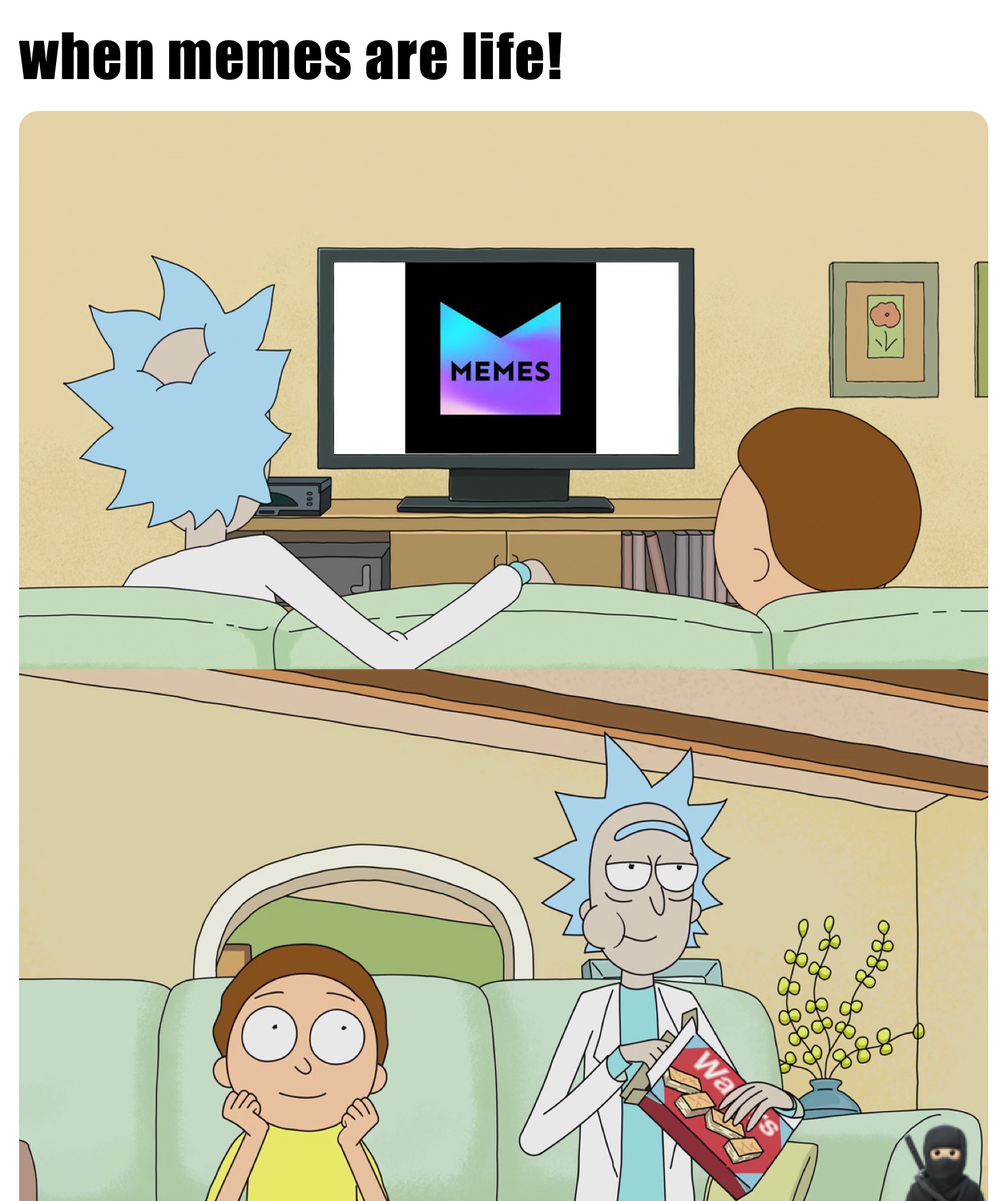 when memes are life! | @webslinger | Memes