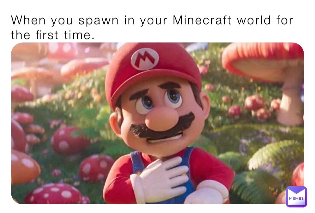 When you spawn in your Minecraft world for the first time ...