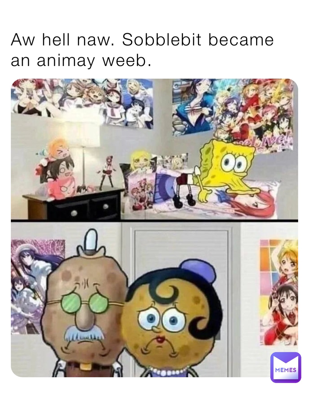 Aw hell naw. Sobblebit became an animay weeb. | @TheMemeinator69 | Memes