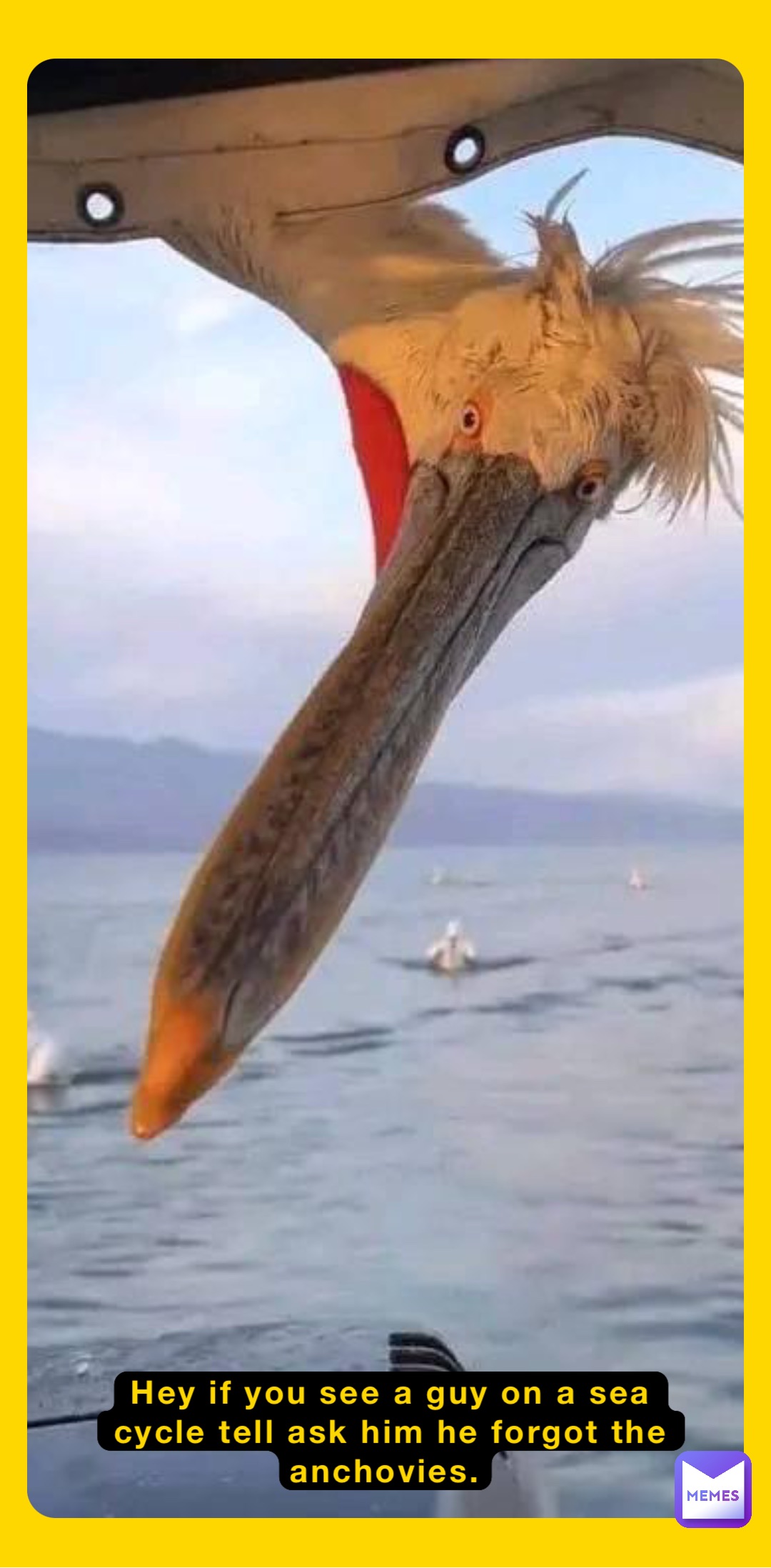 Hey if you see a guy on a sea cycle tell ask him he forgot the ...