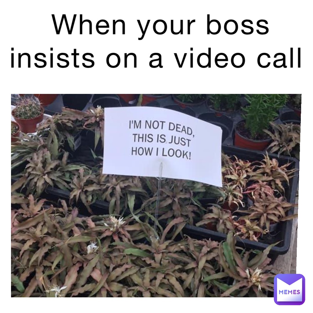 Post by @stuart.mcbeth | Memes