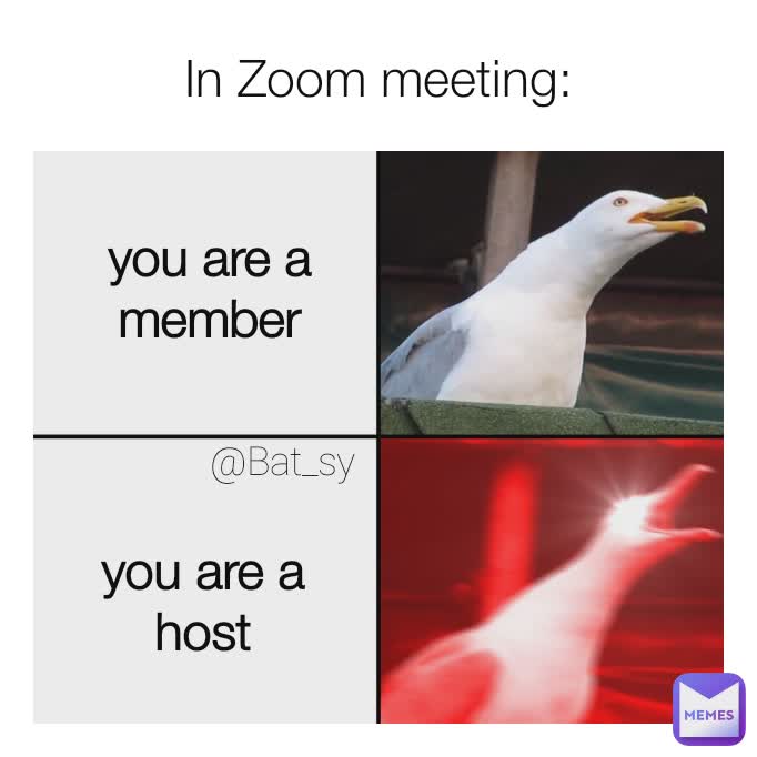 In Zoom meeting: you are a member you are a host @Bat_sy | @Bat_sy | Memes