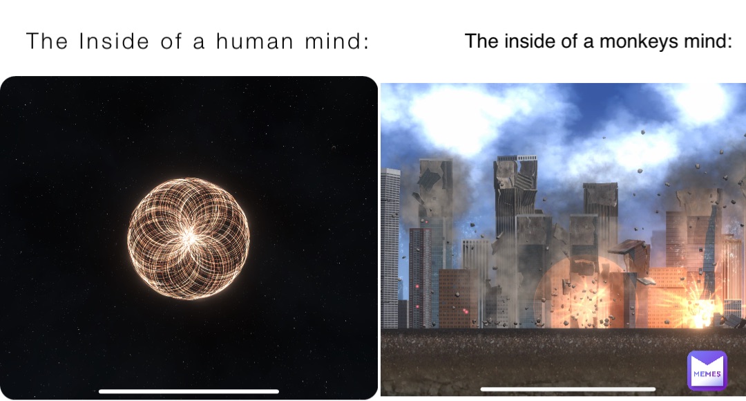 The Inside of a human mind: The inside of a monkeys mind ...