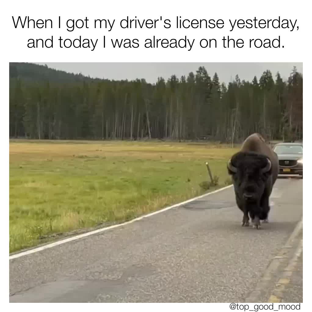 @top_good_mood When I got my driver's license yesterday, and today I ...