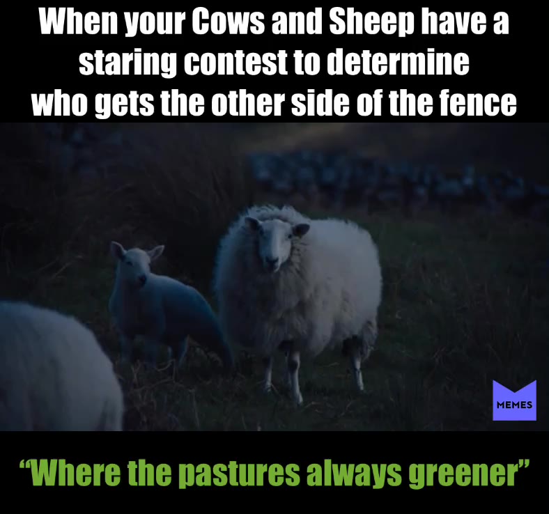 Post by @Klondikes_Billy_Bob | Memes