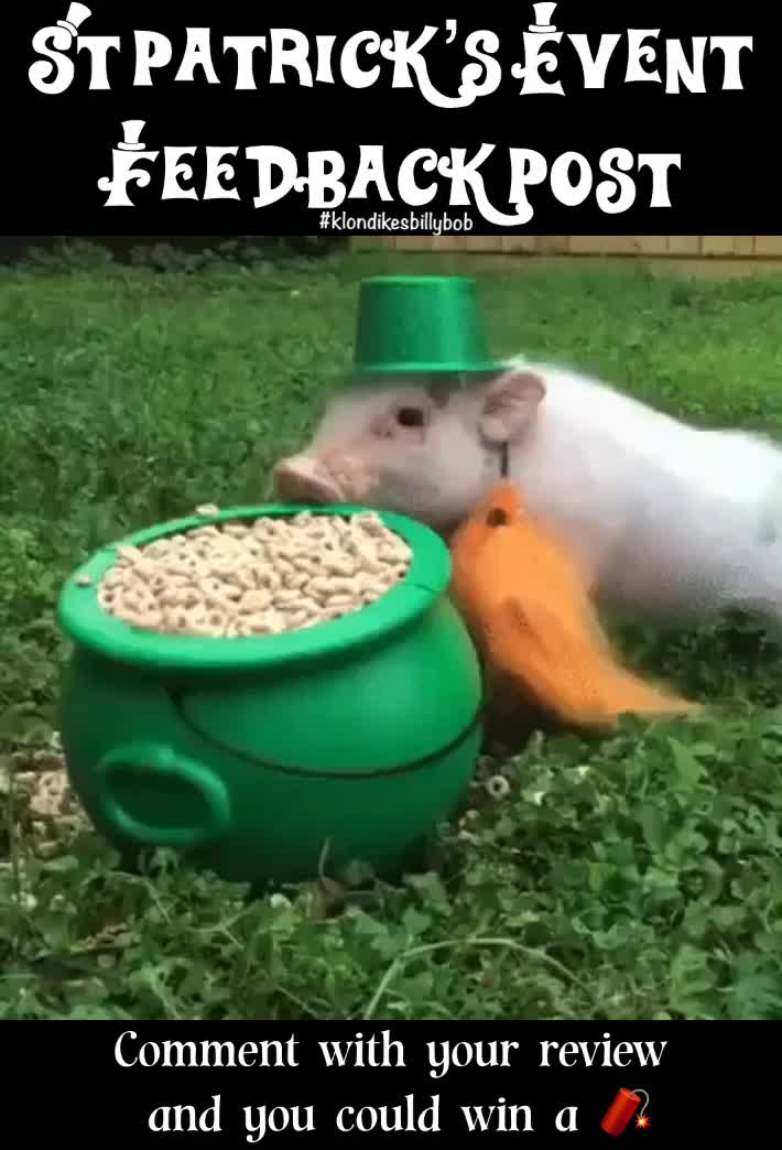 Post by @Klondikes_Billy_Bob | Memes