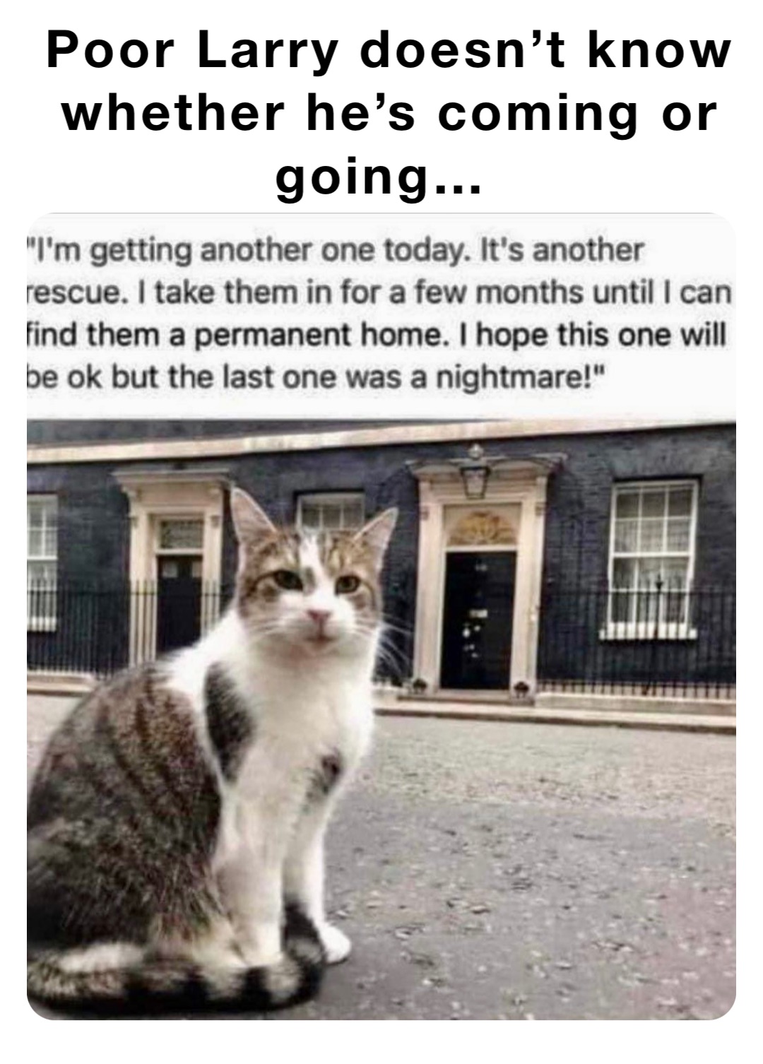Poor Larry doesn’t know whether he’s coming or going… | @kphypnotherapy ...