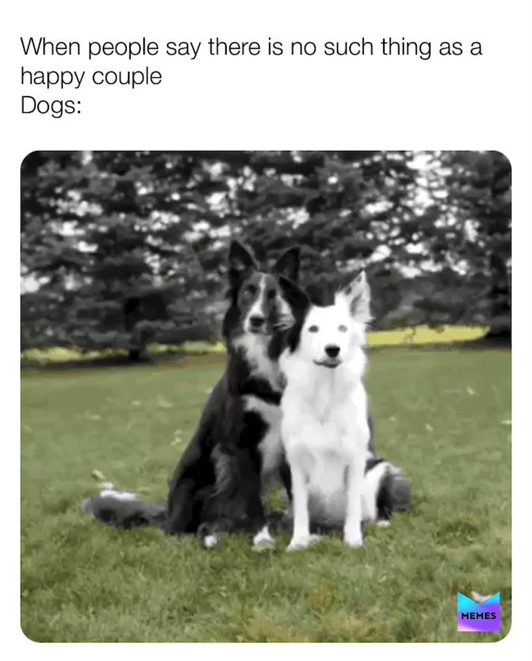 Post by @bUfF_bAbY | Memes