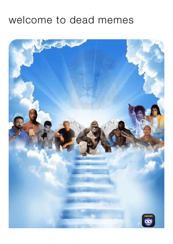 welcome to dead memes | @bigboybiIIy | Memes