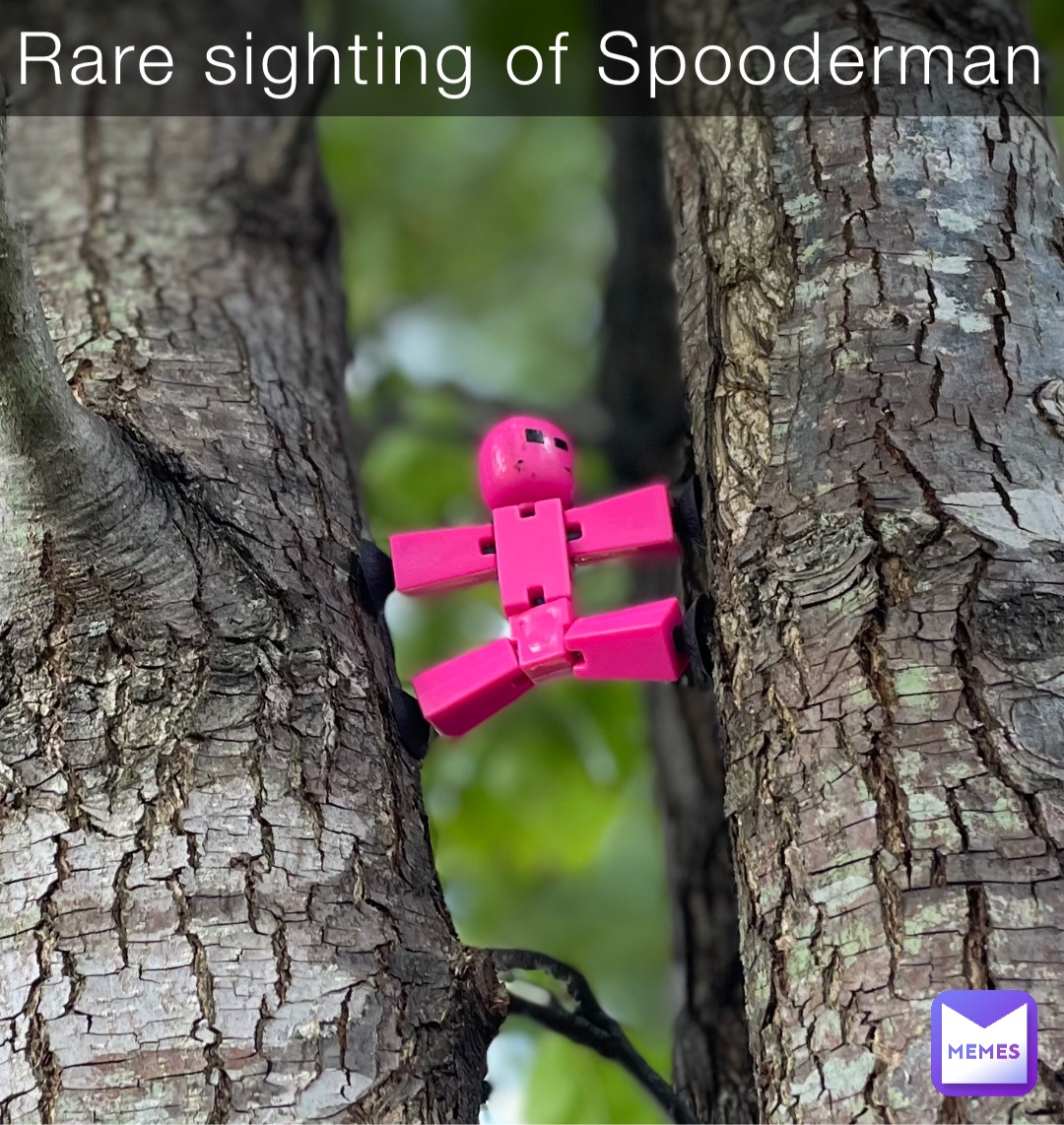 Rare sighting of Spooderman | @DarthAnakin | Memes