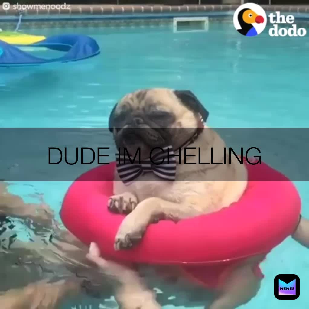 Post by @pr3c1ous.alp | Memes