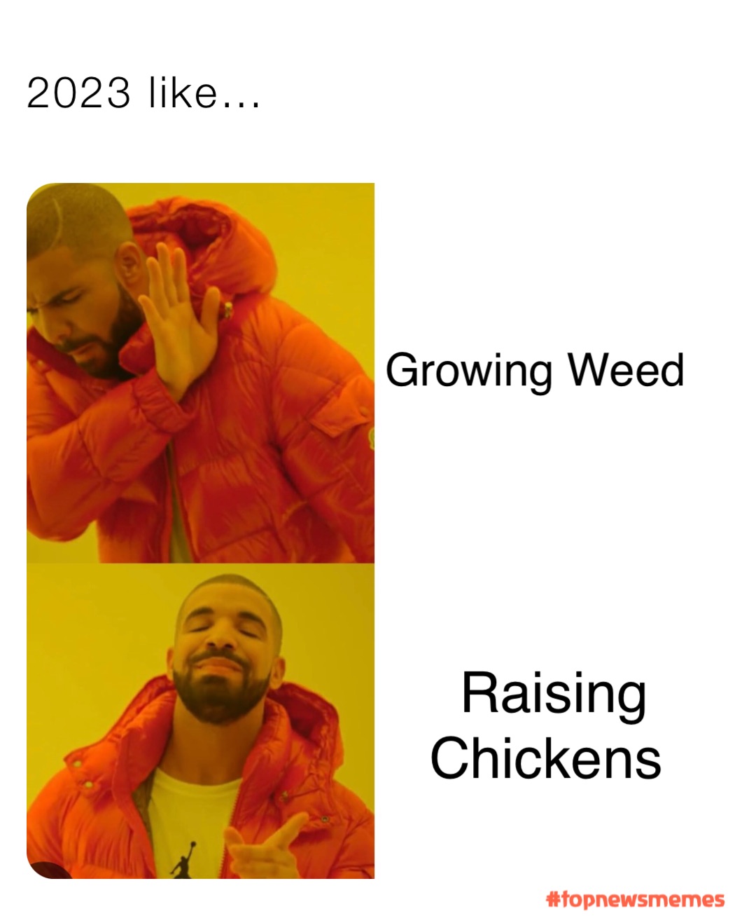 2023 like… Growing Weed Raising Chickens | @Topnewsmemes | Memes