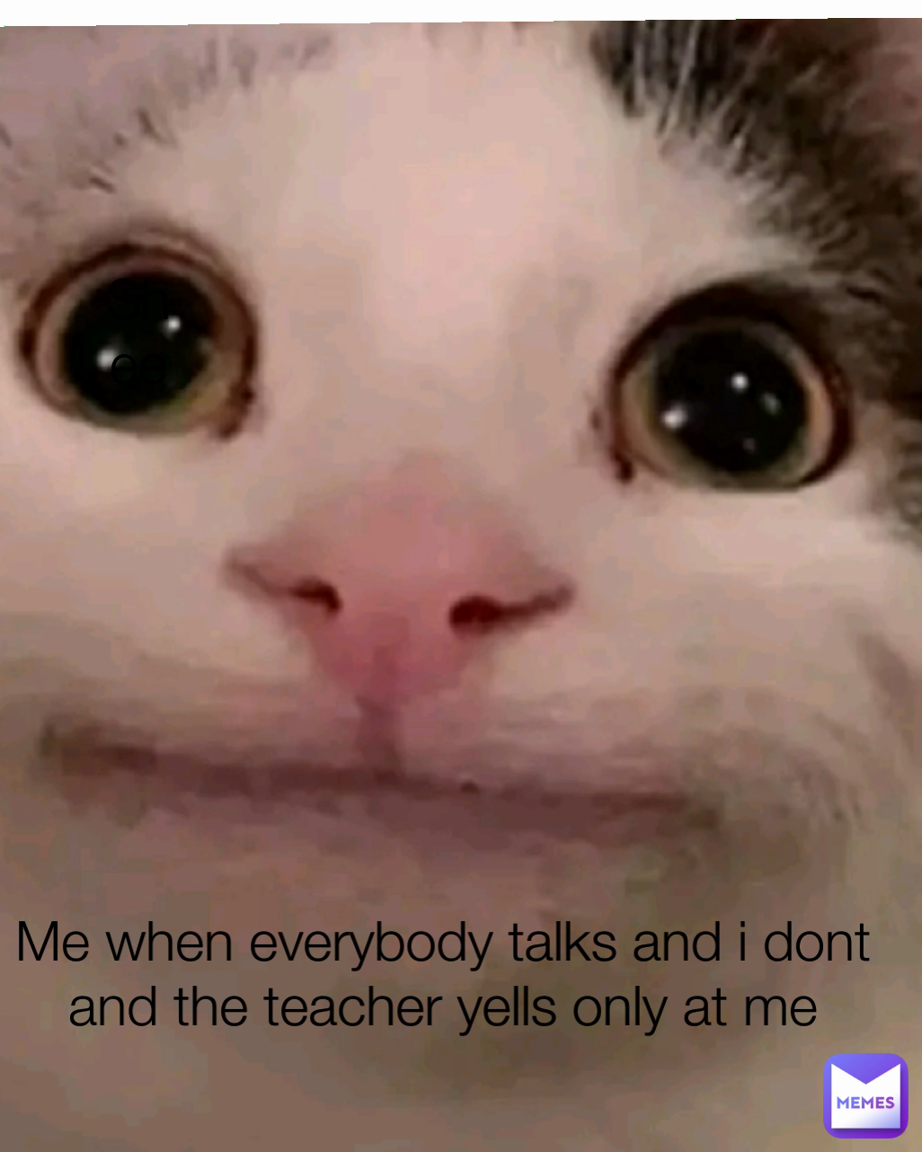 Me when everybody talks and i dont and the teacher yells only at me ...