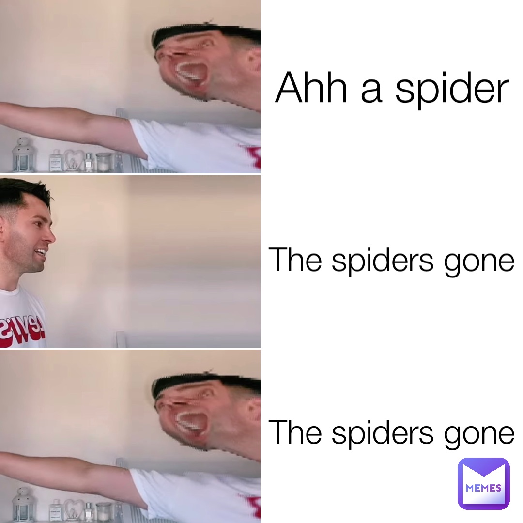 Ahh a spider The spiders gone The spiders gone | @Caycayfamily | Memes