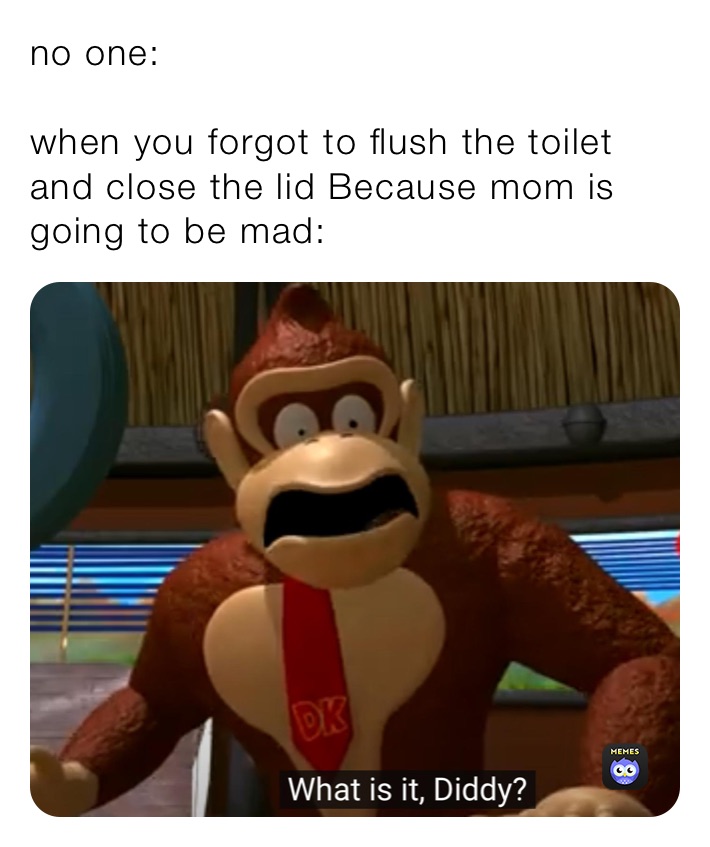 no one: when you forgot to flush the toilet and close the lid Because ...