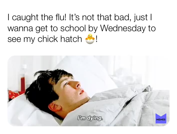 Post by @peppa_pig_SNORT | Memes