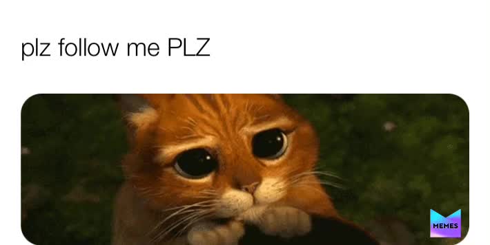 Post by @chupp | Memes