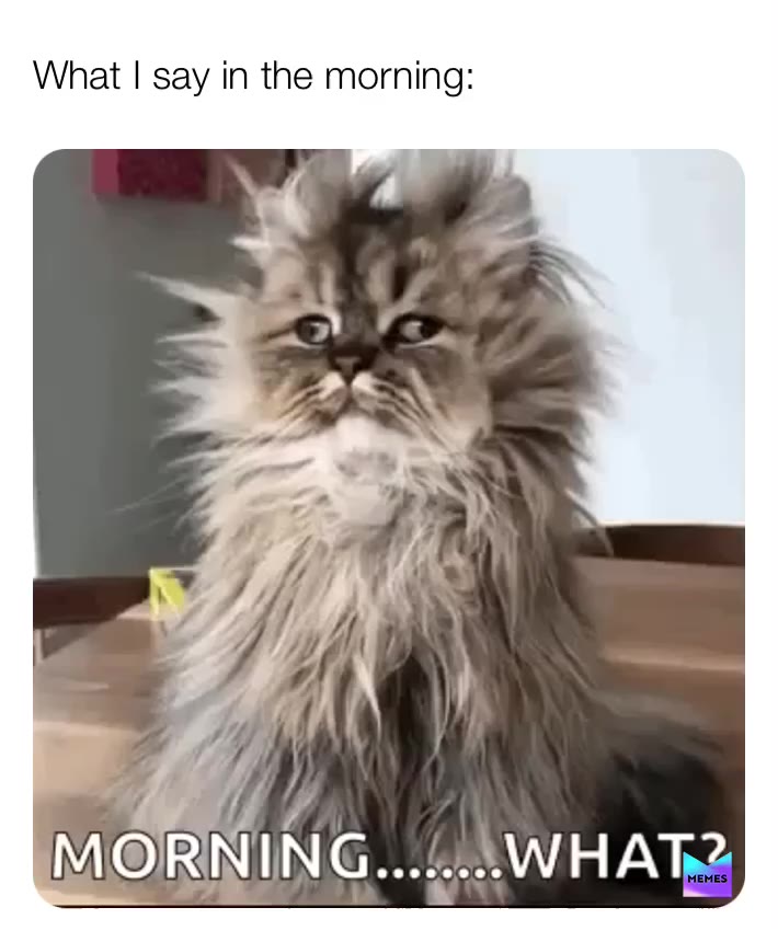 Post by @the_meme_world_with_asher | Memes