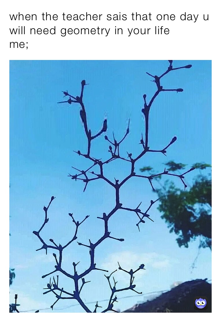 when the teacher sais that one day u will need geometry in your life me ...