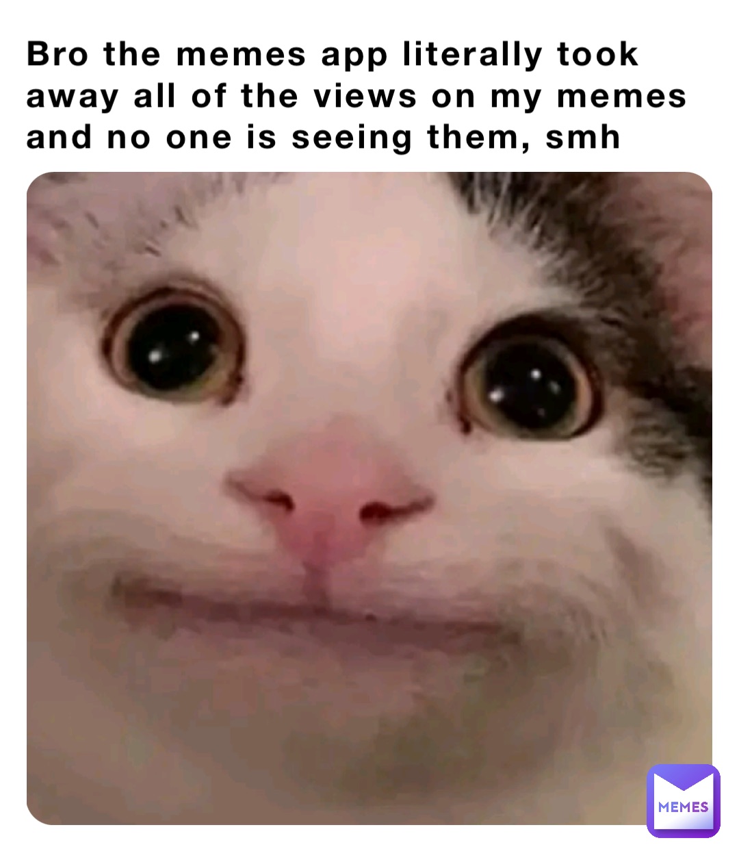 Bro the memes app literally took away all of the views on my memes and ...